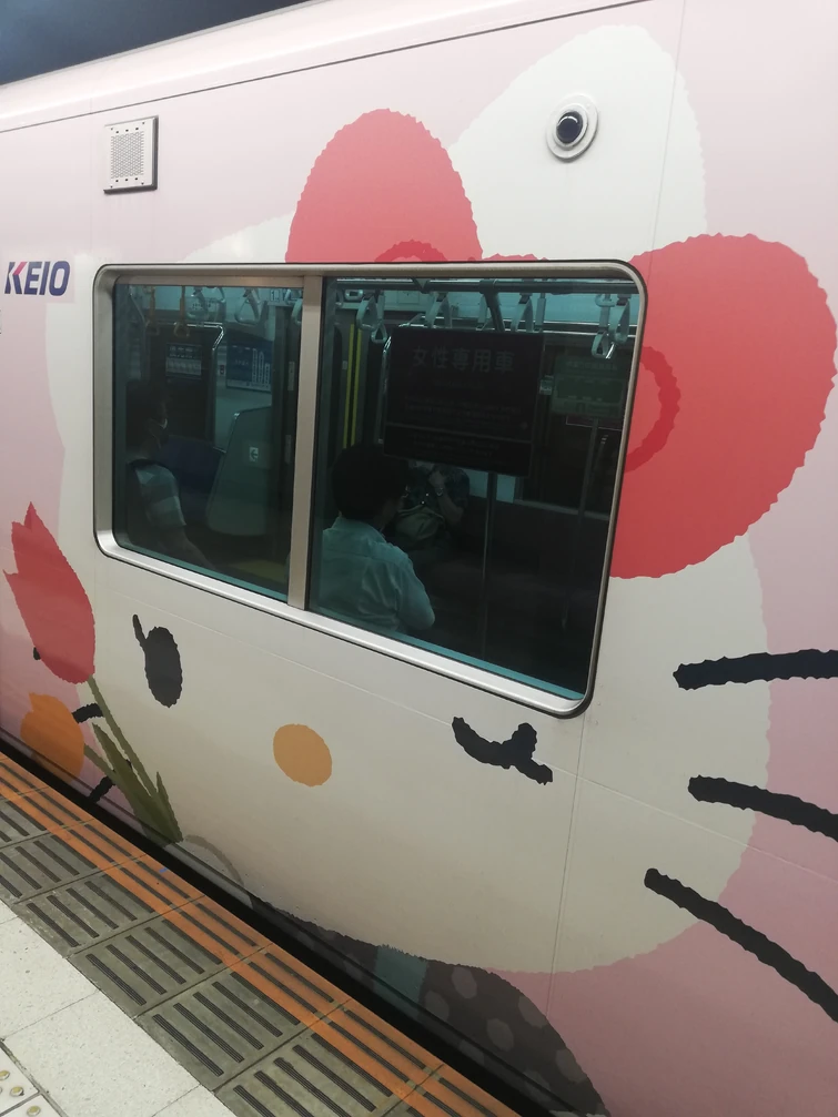 Precure Pretty Store Tokyo Report + Sanrio train and so on + my message ...