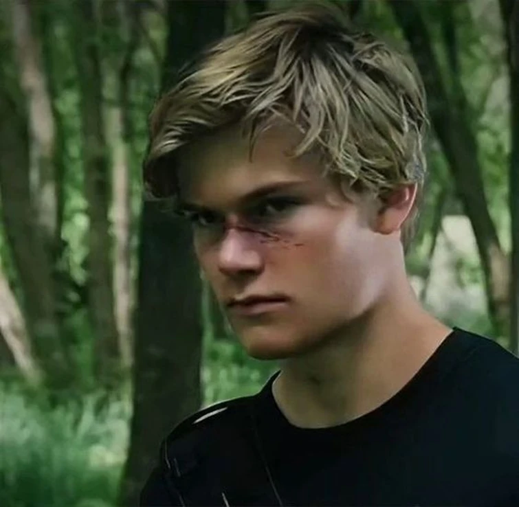 Discuss Everything About The Hunger Games Wiki | Fandom