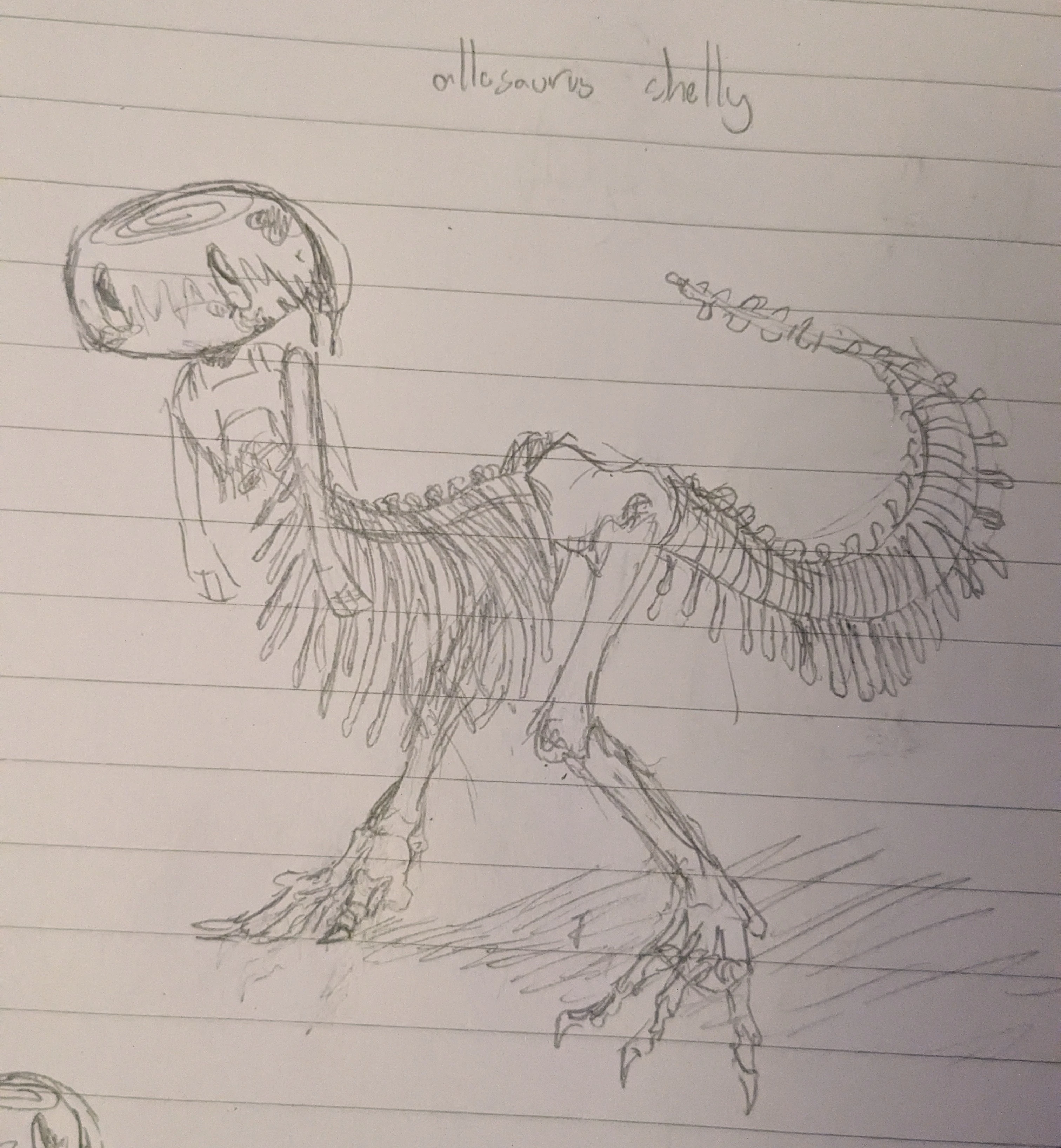 twisted shell y | Fandom