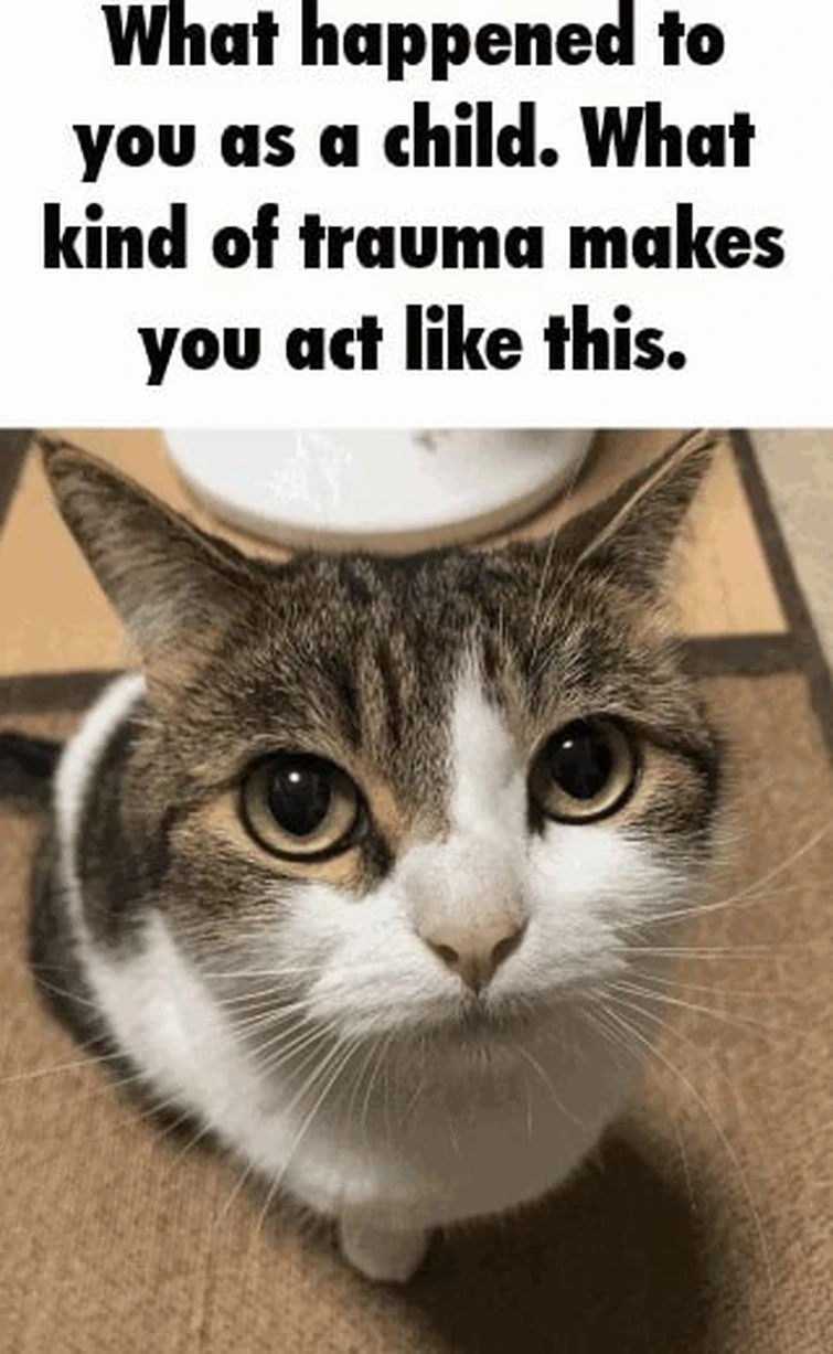 WUT DA HELL | Fandom