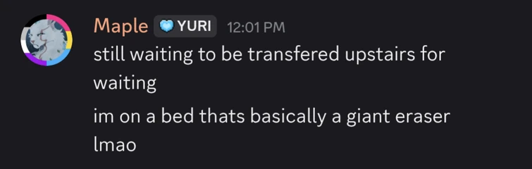 Update on Maple | Fandom