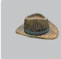 If you remember this Roblox hat, congrats. | Fandom