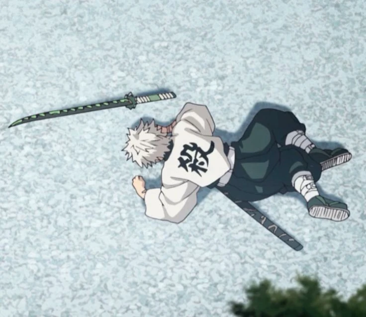 Sanemi is such a mood | Fandom