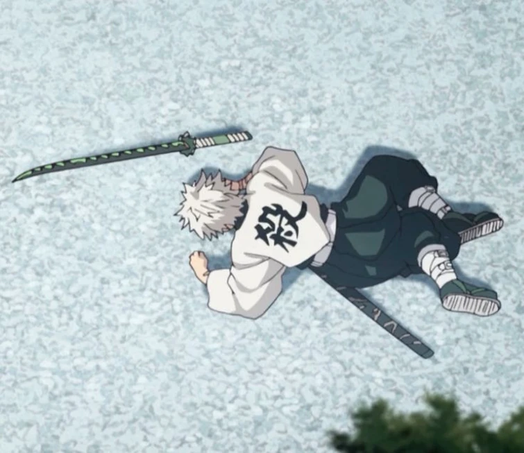 Sanemi is such a mood | Fandom