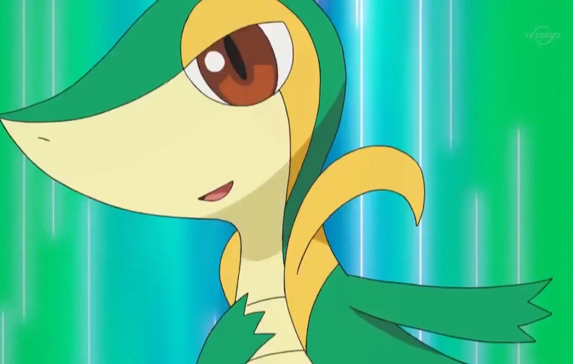 Ash's Snivy | Fandom