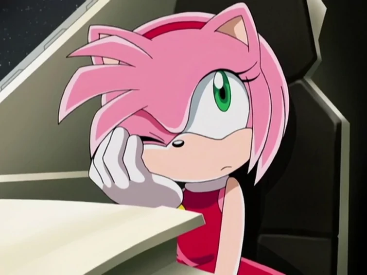 i'll admit that i simp Amy Rose, but you have to agree she deserves it ...