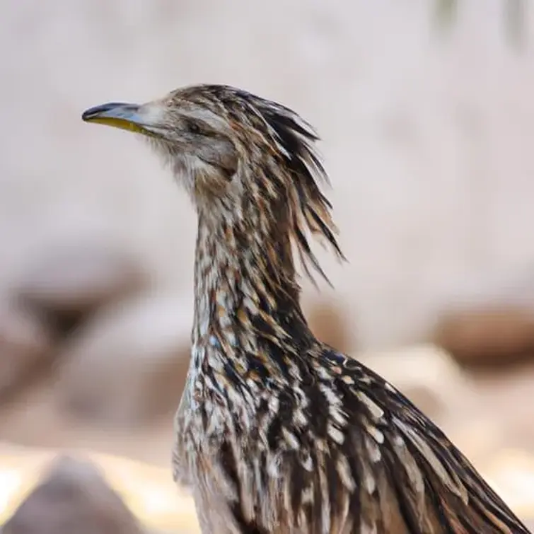 Dinosaur stuff made by an AI | Fandom