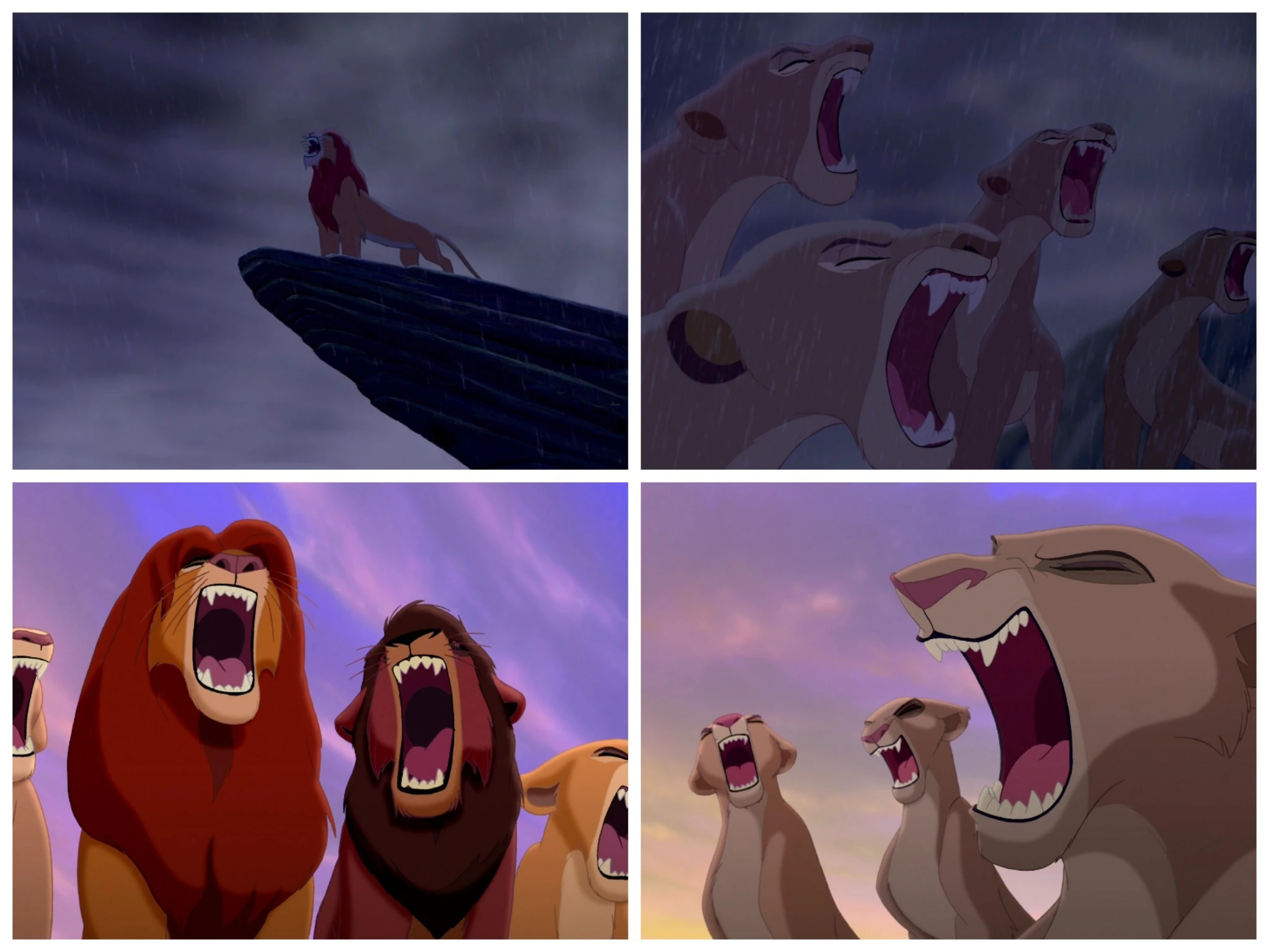 Did Simba and Kovu form a coalition? | Fandom