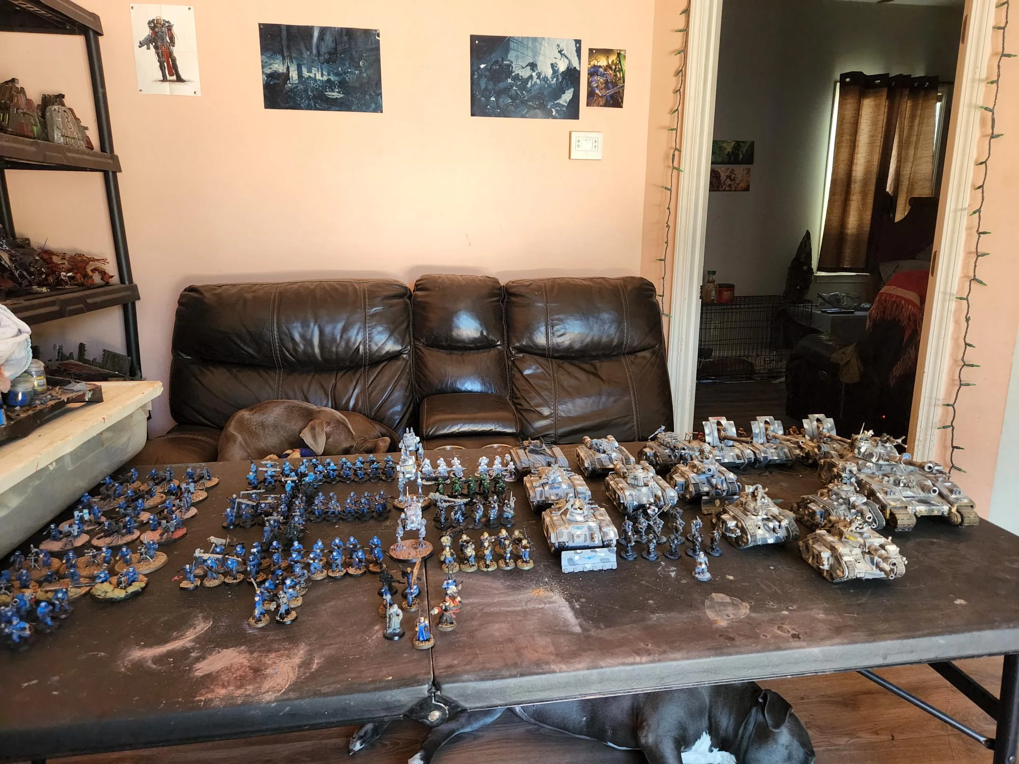 Guard regiment | Fandom