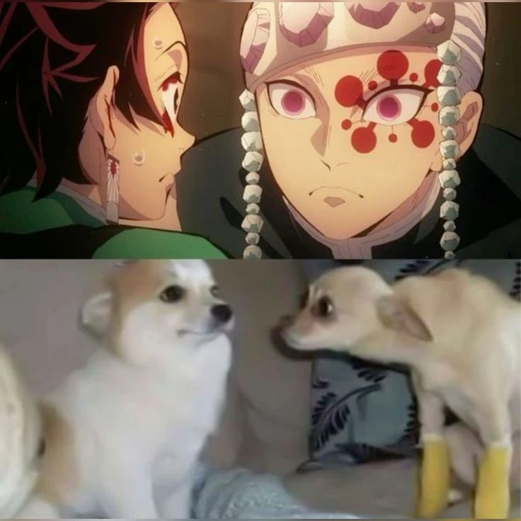 I dare you to send your cursed kny pics | Fandom