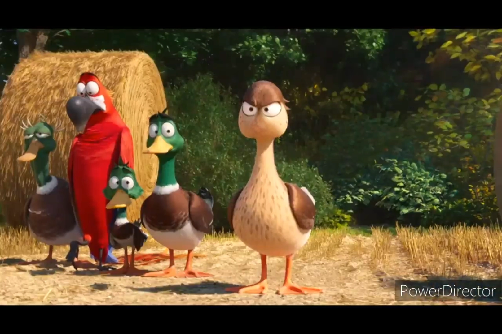 Pam Mallard Without Her Beak | Fandom