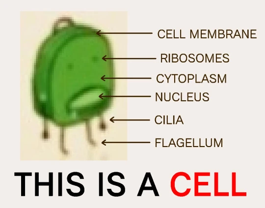 Did i ever show this | Fandom