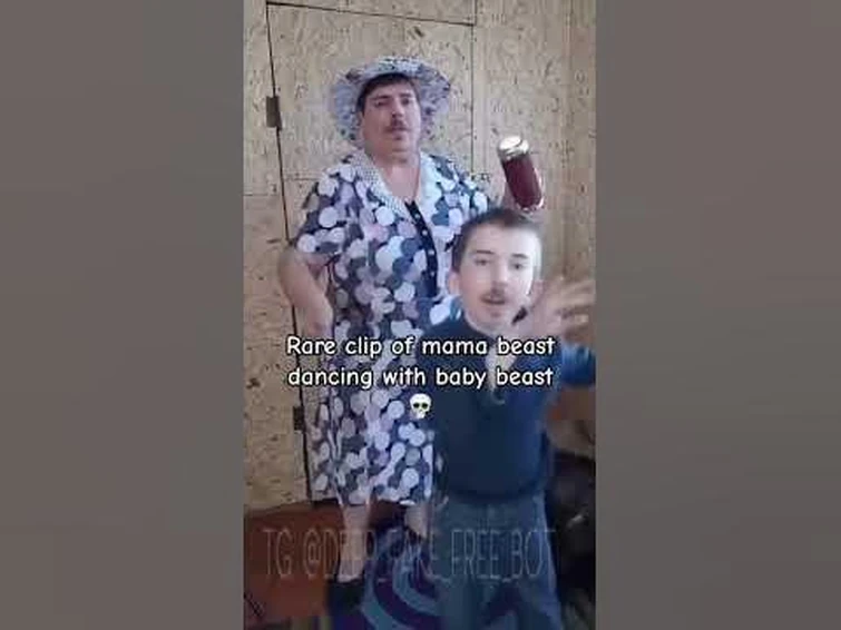 I wanna make a camp, but im lazy | Fandom