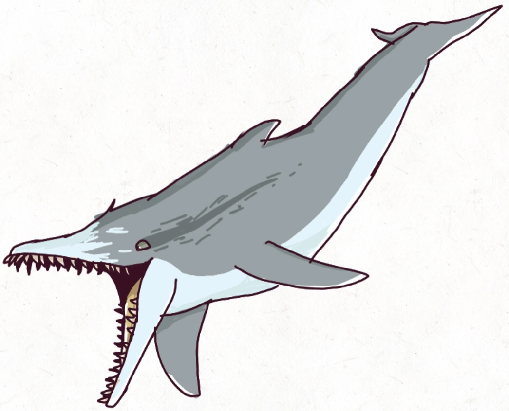 squalodon grateloupii | Fandom