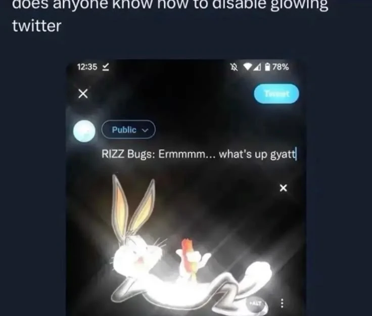 RIZZ Bugs: Ermmmm... what's up gyatt | Fandom
