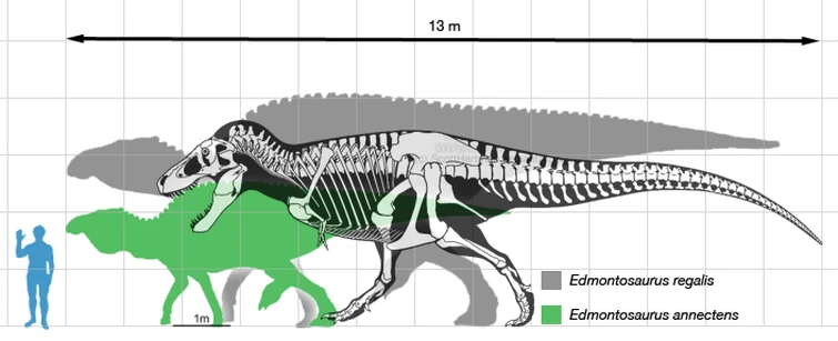 Why edmontosaurus would beat a T.Rex in a fight | Fandom