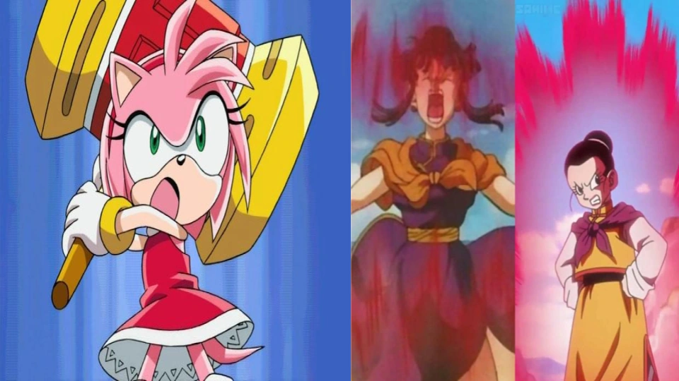 Who would win. Chi Chi or Amy Rose (no Archie) | Fandom