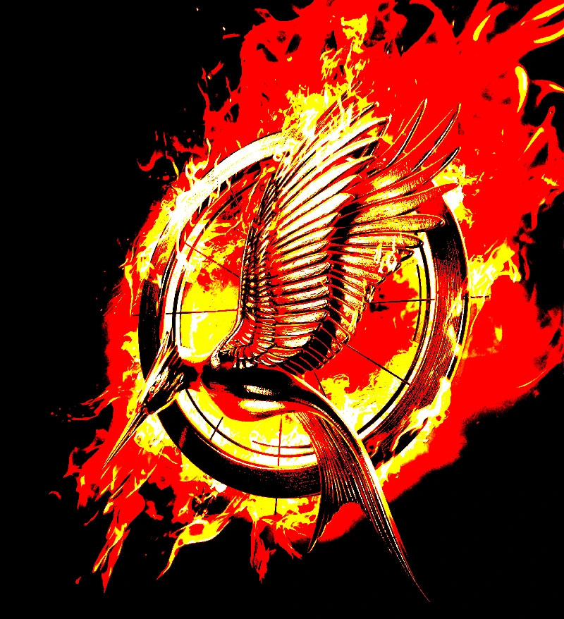 Edited Mockingjay Photos | Fandom
