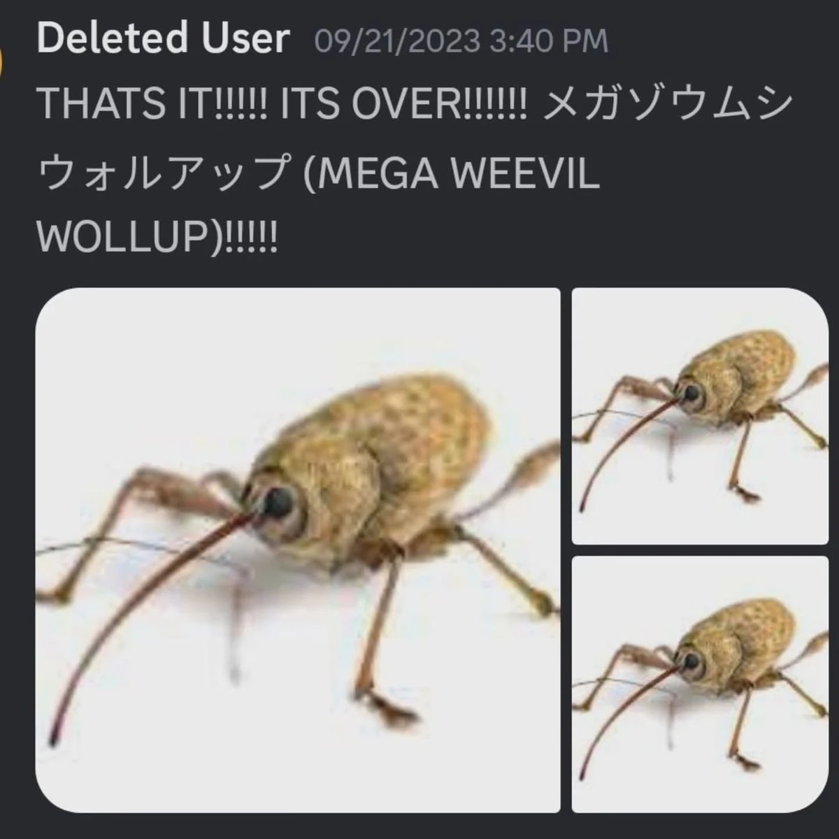 going to take a bath... can you guys watch my mega weevils and ensure ...