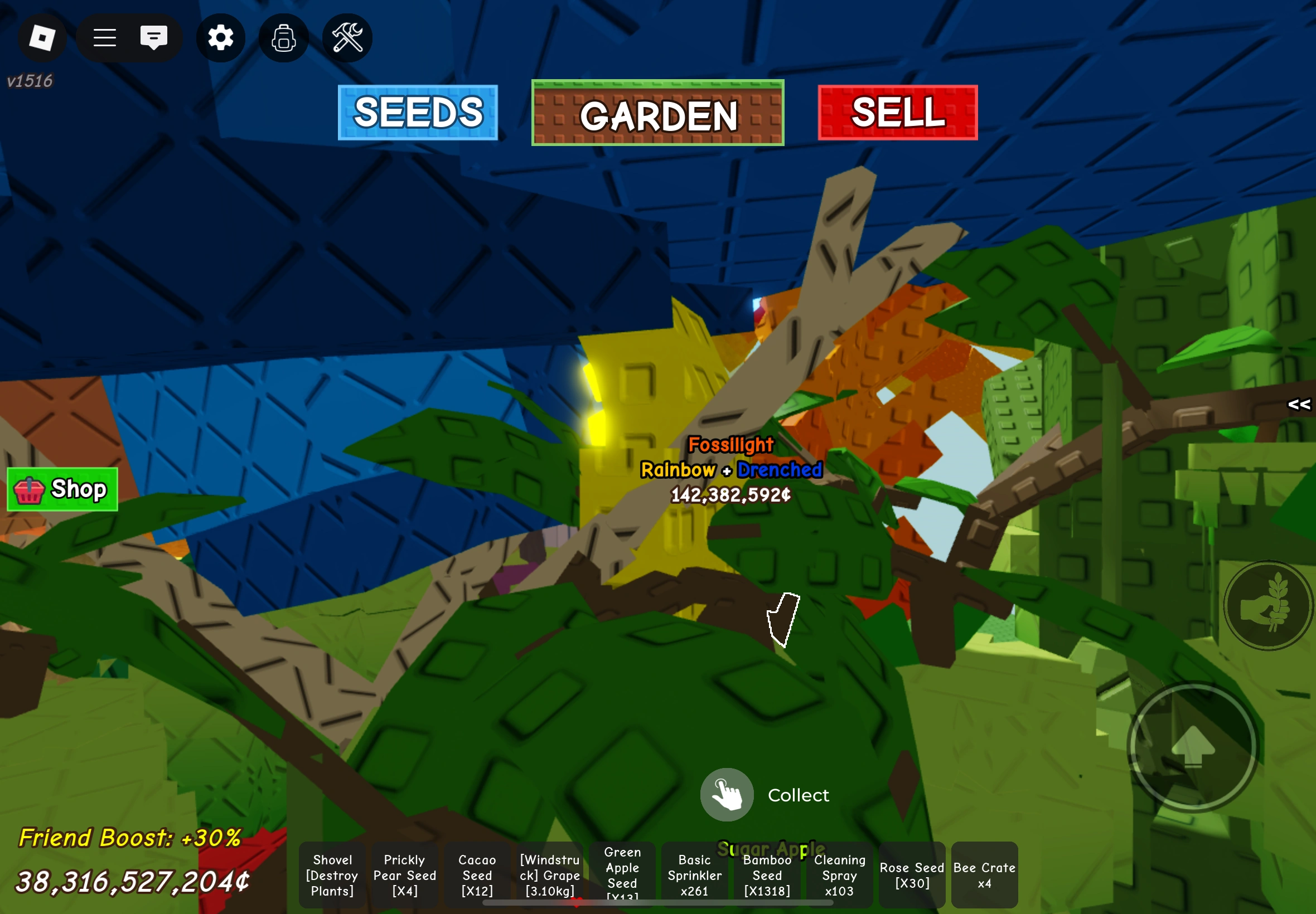 HOLAY MOLAY | Fandom