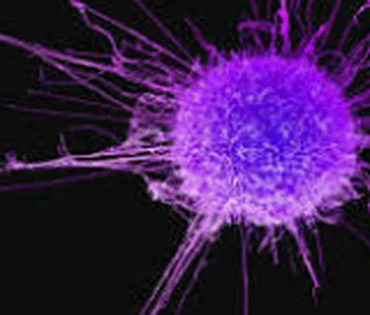 Can Cancer beat Goku? | Fandom