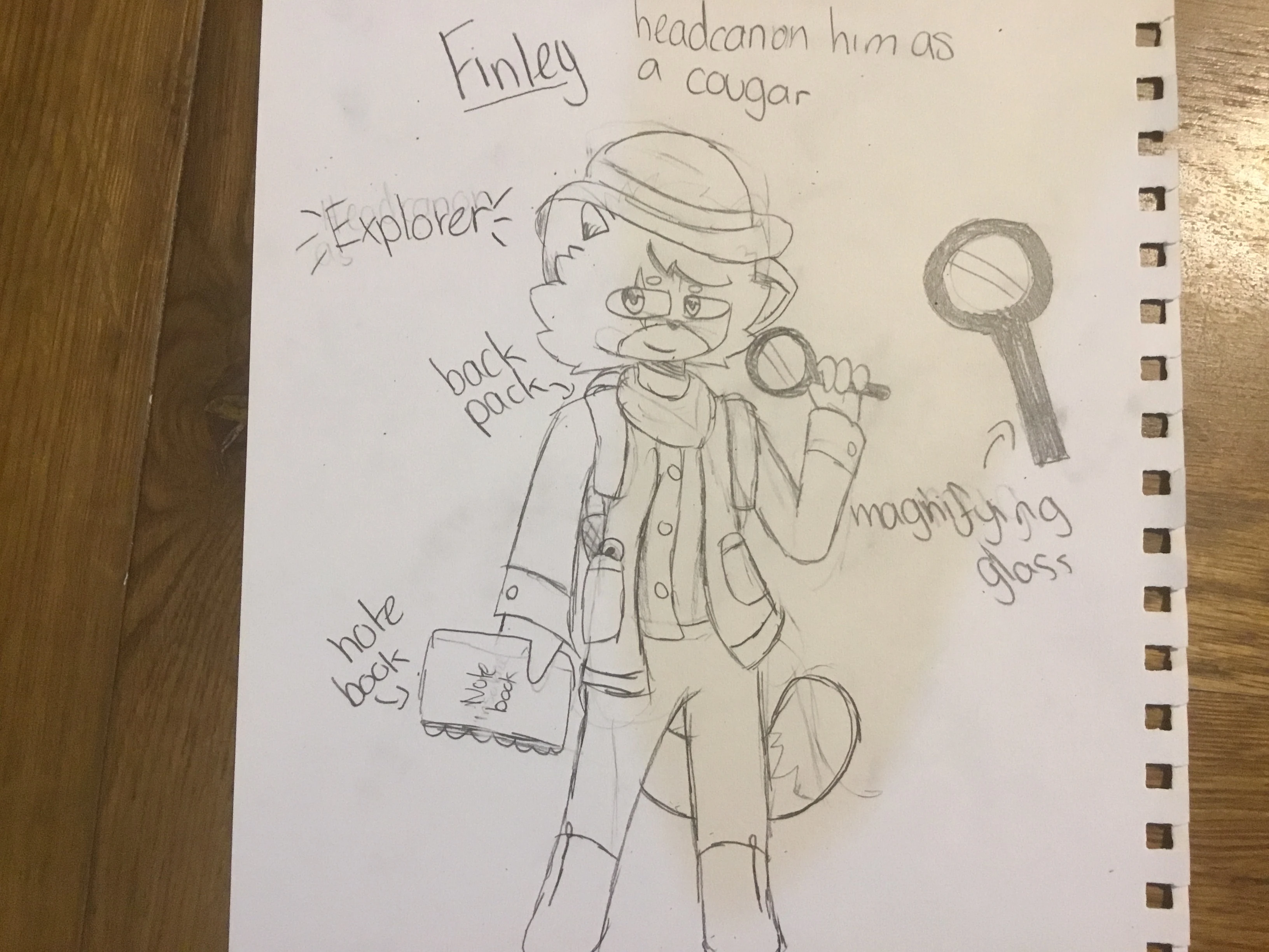 my opinion on Finley | Fandom