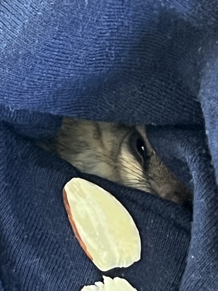 PLEASE READ!!! | Fandom