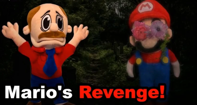 Mario’s revenge lost sml video | Fandom