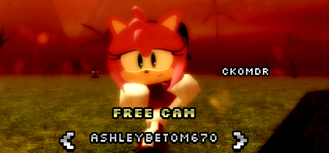 Amy rose in hide and seek stage (without her Piko piko hammer) | Fandom
