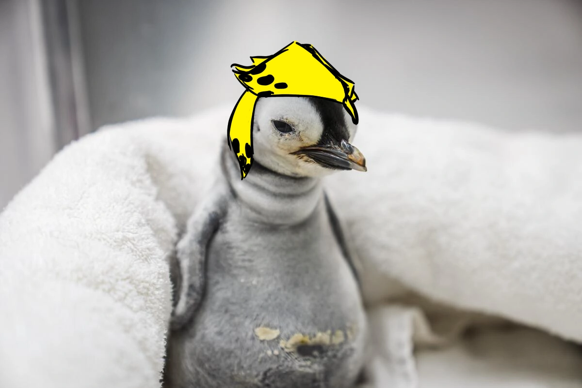 EMPEROR penguin | Fandom