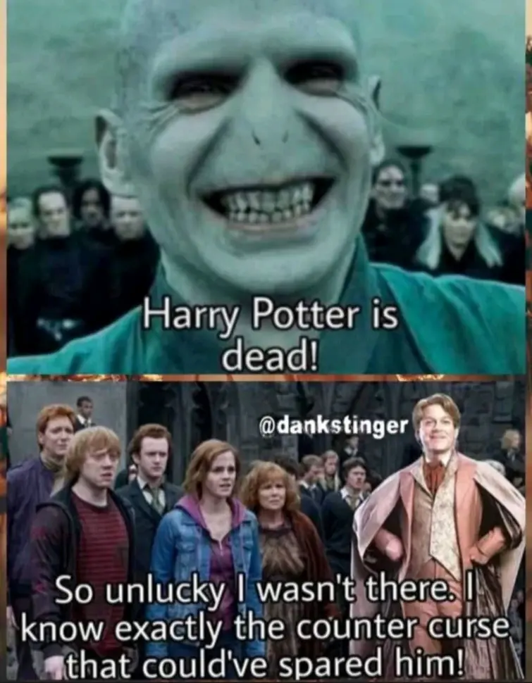 Harry Potter and the Goblet of Memes Round 6 Winners | Fandom