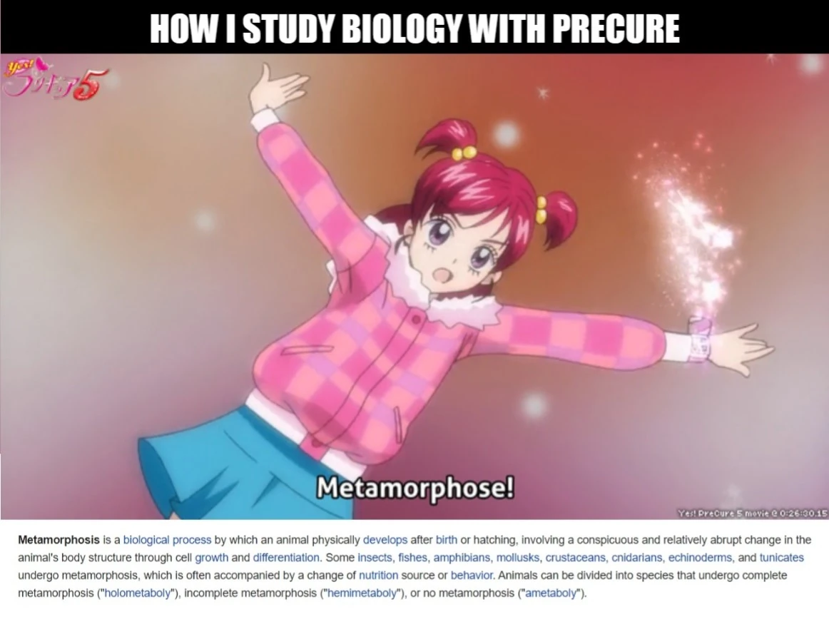 PreCure Memes #9 | Fandom