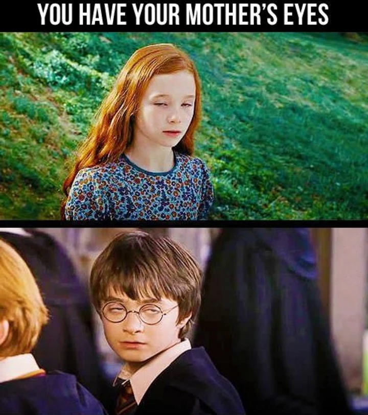 Gotta admit this has to be one of the best HP memes . Like if you agree ...
