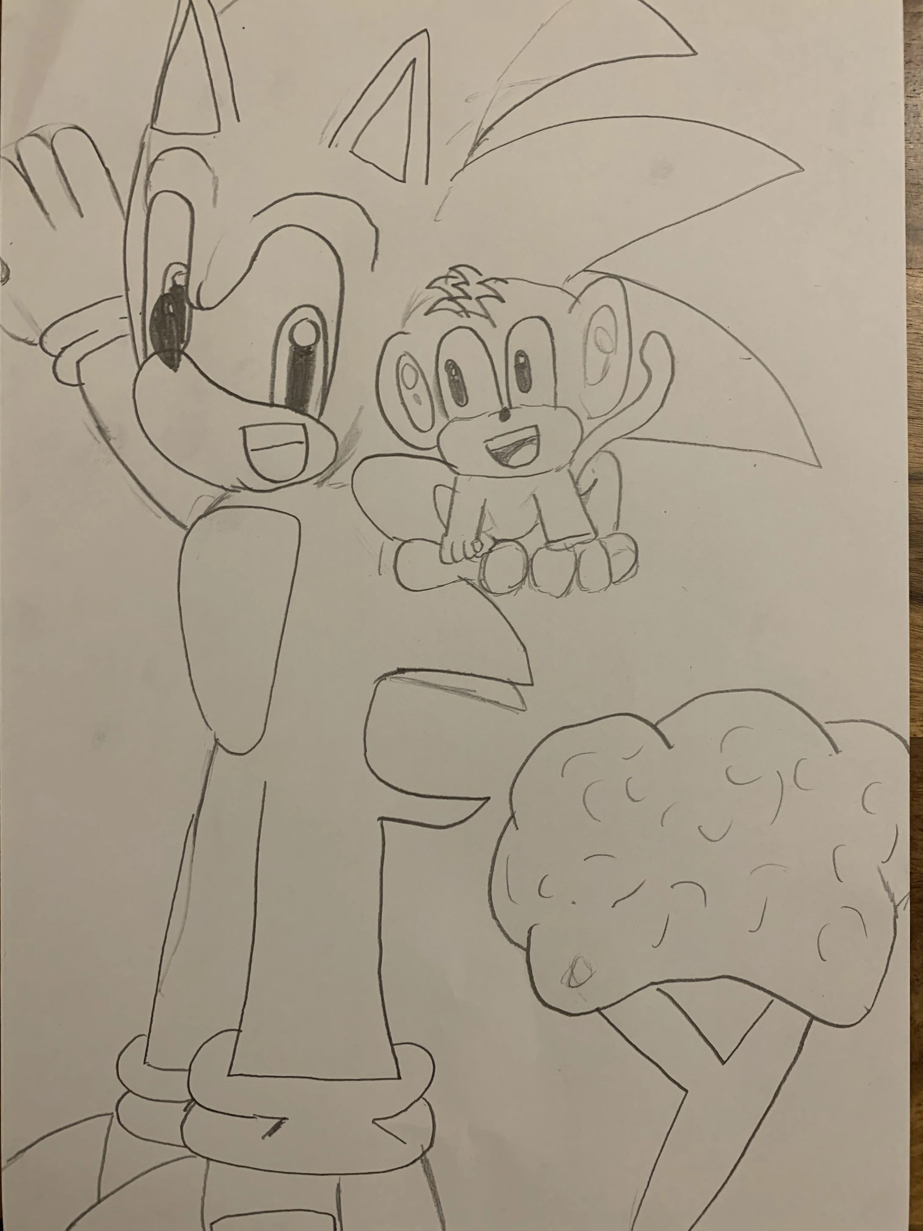 SONIC WITH A MONKEY | Fandom