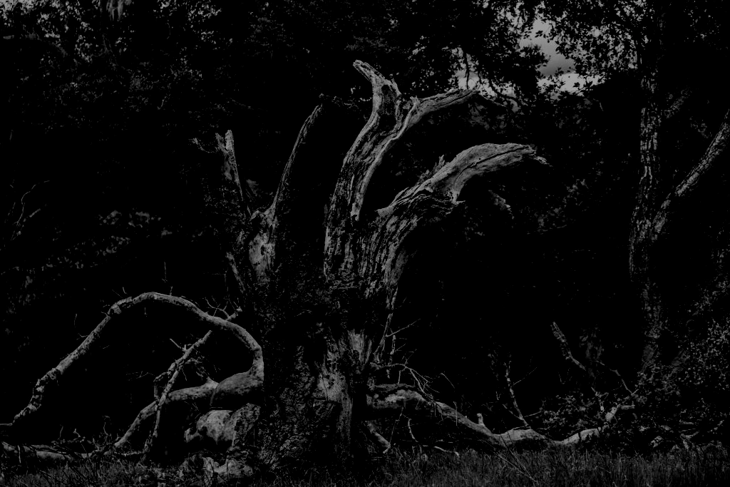 CJs phase 34 remake | Fandom