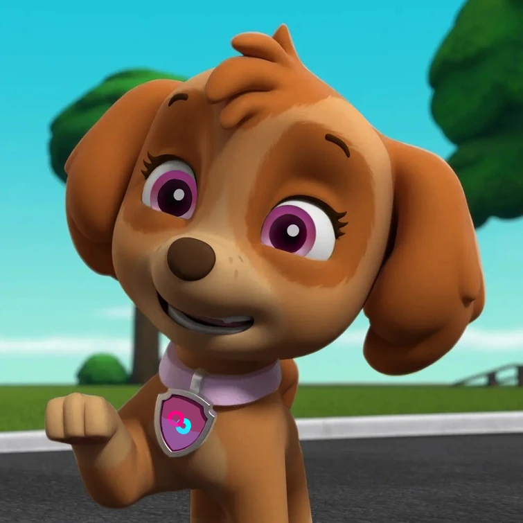 Discuss Everything About PAW Patrol and PJ Masks Wiki | Fandom