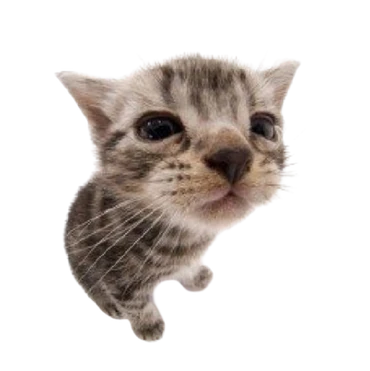 What Do You Call The Triple, Quad and Quint Ethereals? | Fandom