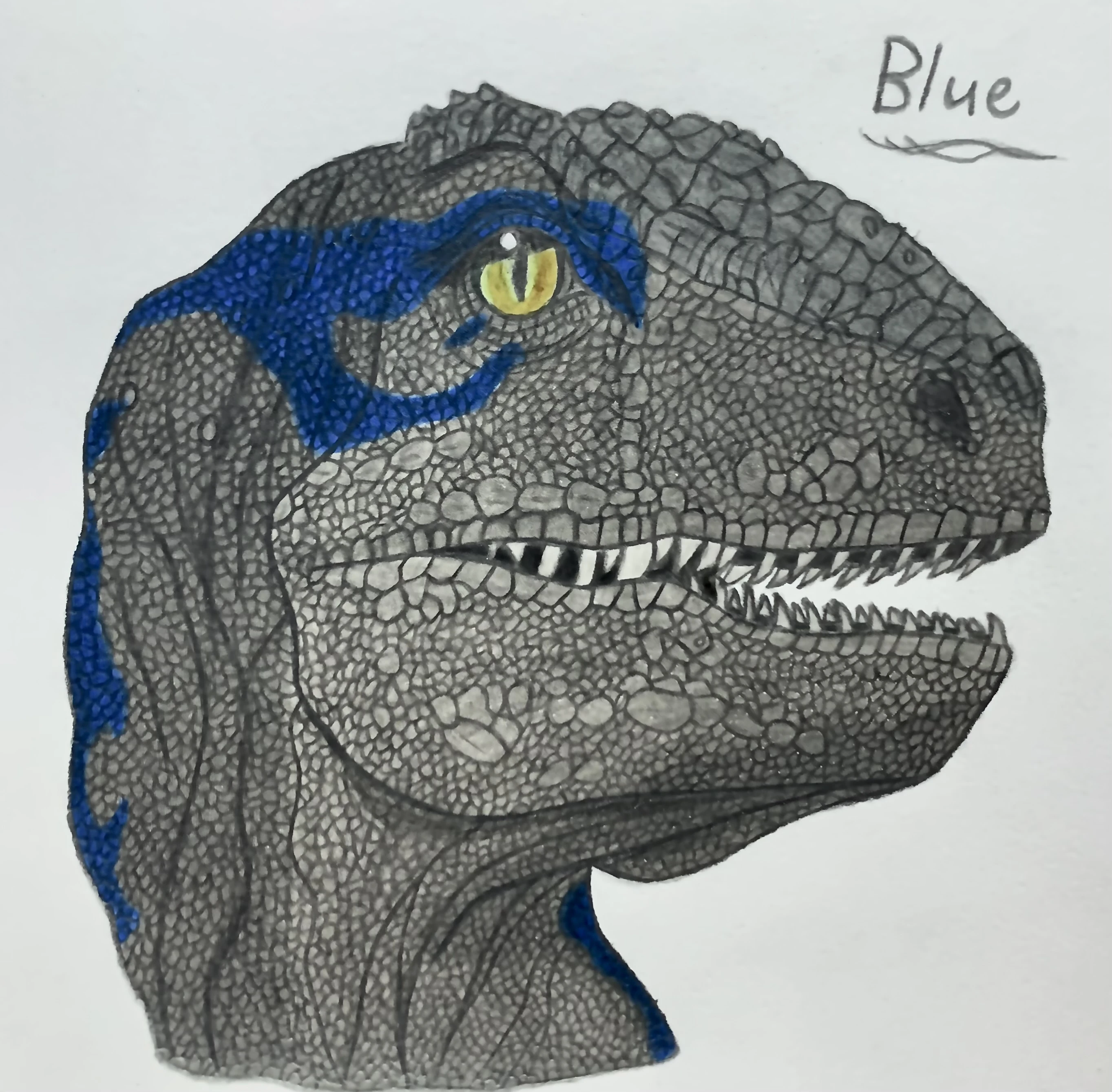 My Drawing of Blue | Fandom