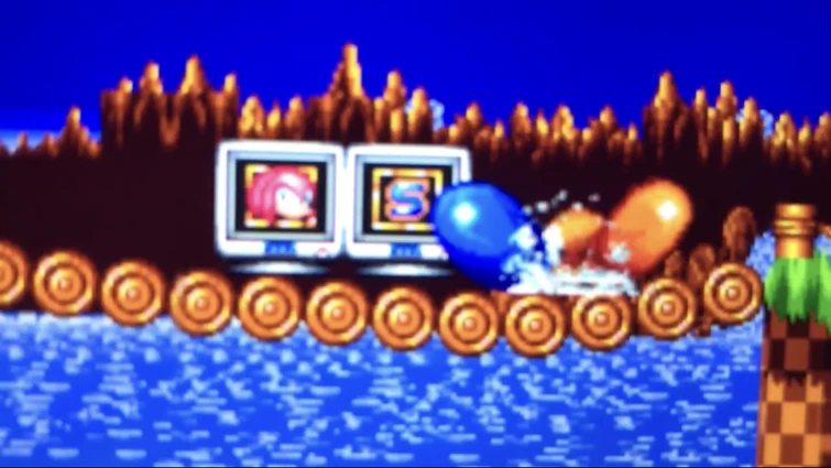 Discuss Everything About Sonic Wiki Zone | Fandom