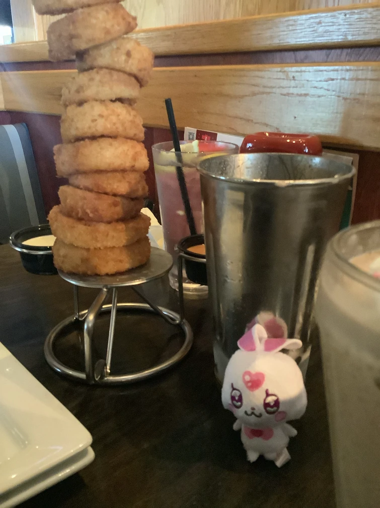 The kirarin rabbit at Red Robin | Fandom