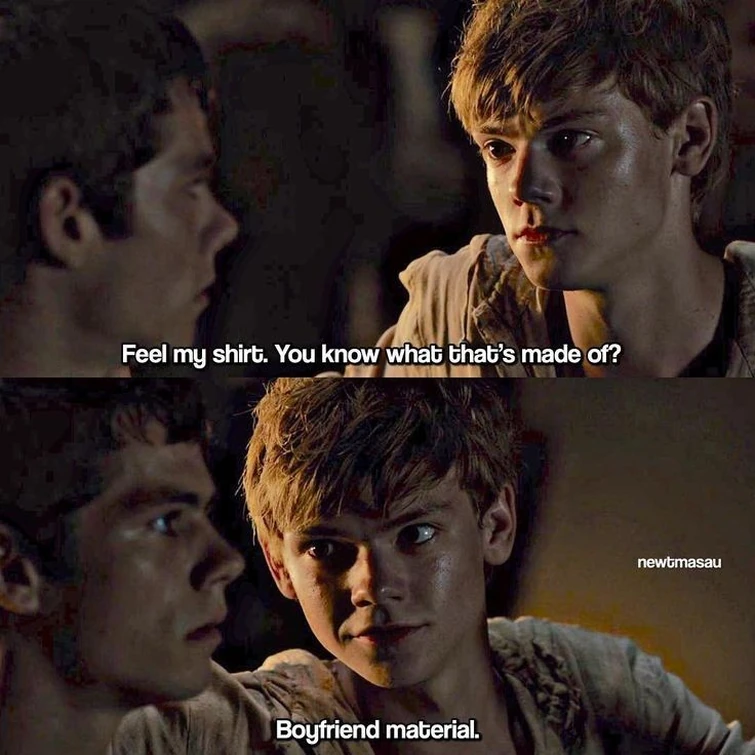 A few TMR memes | Fandom