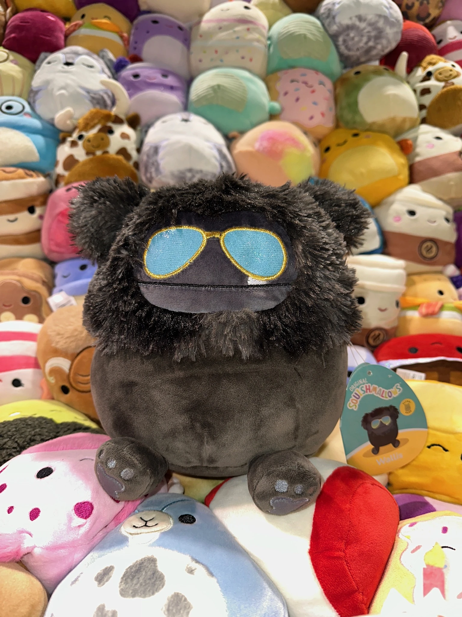 Omg new big foot squishmallow their name is wallis | Fandom