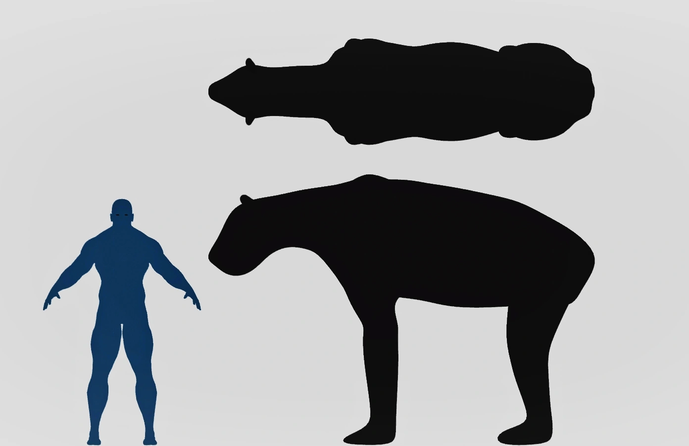 Arctodus simus, the largest terrestrial mammalian carnivore ever. By ...