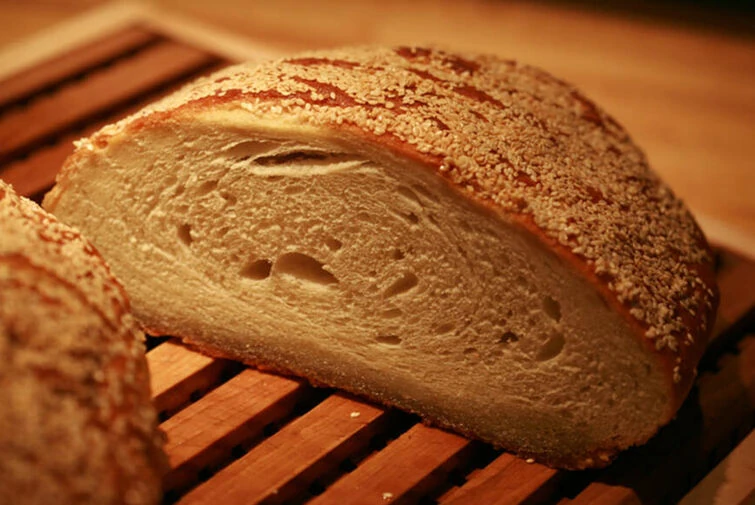 Corsican Bread | Fandom