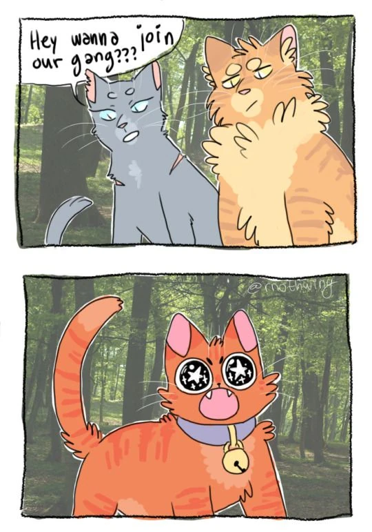 Ok nvm have meme instead | Fandom