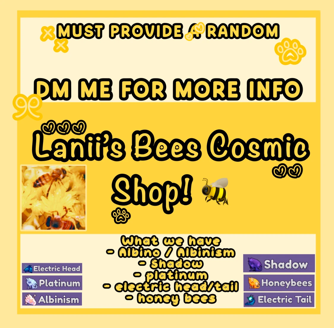 Bee cosmic Shop! | Fandom