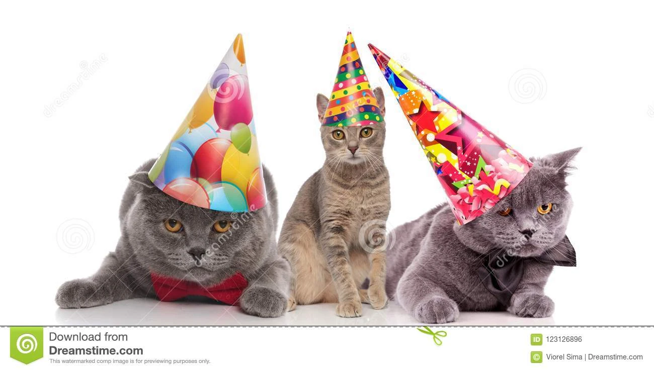 Party rock is in the house tonight | Fandom