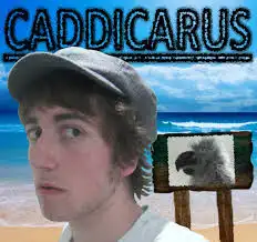 I watched EVERY single video from YouTuber Caddicarus (2011-present ...