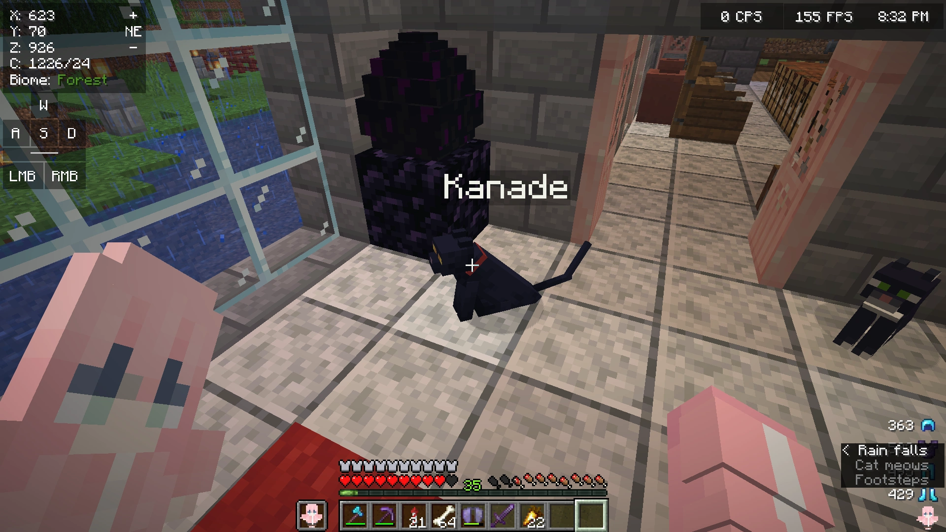 Guys look at my Minecraft cat | Fandom