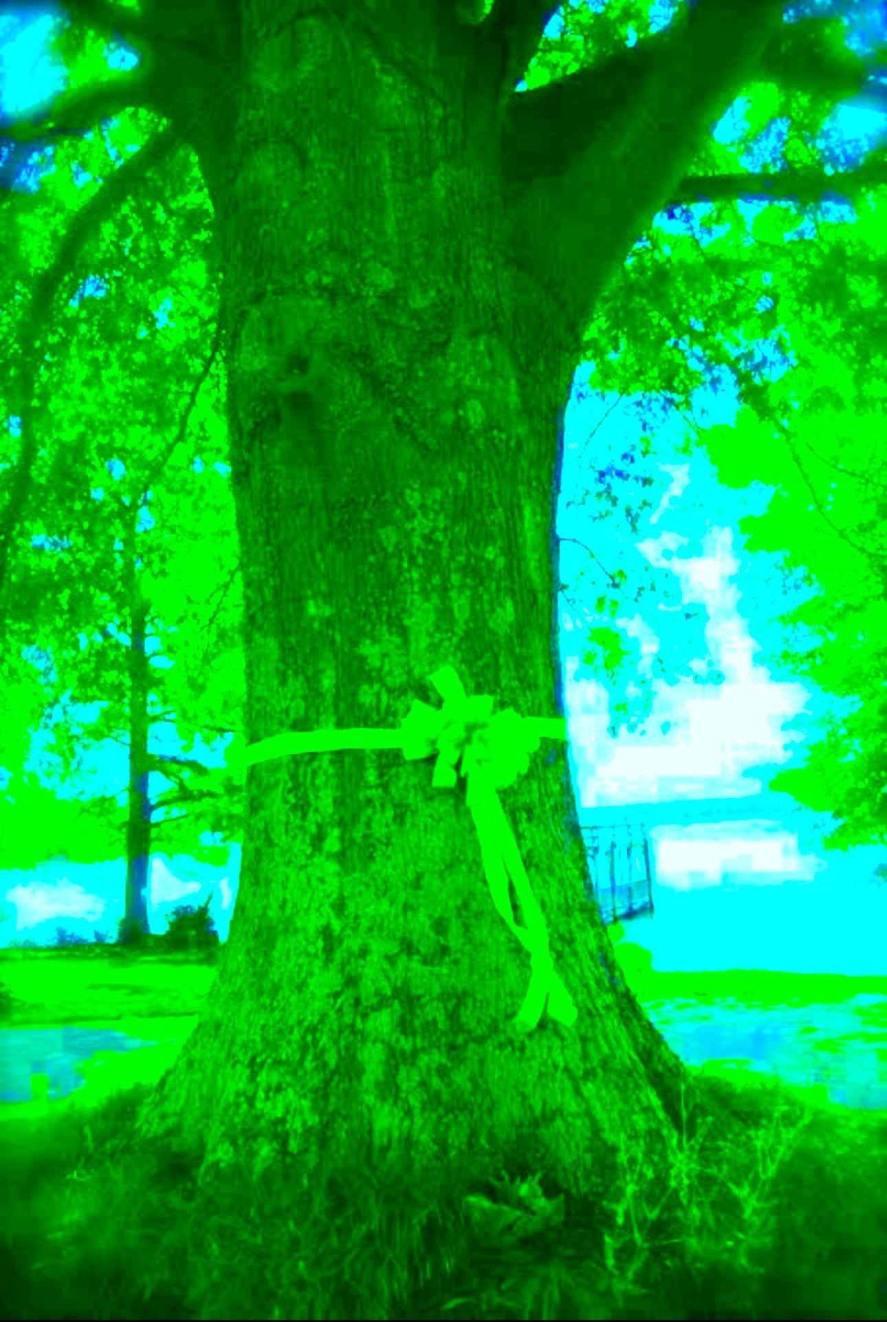 Tie a GREEN 'round the URANIUM TREE | Fandom